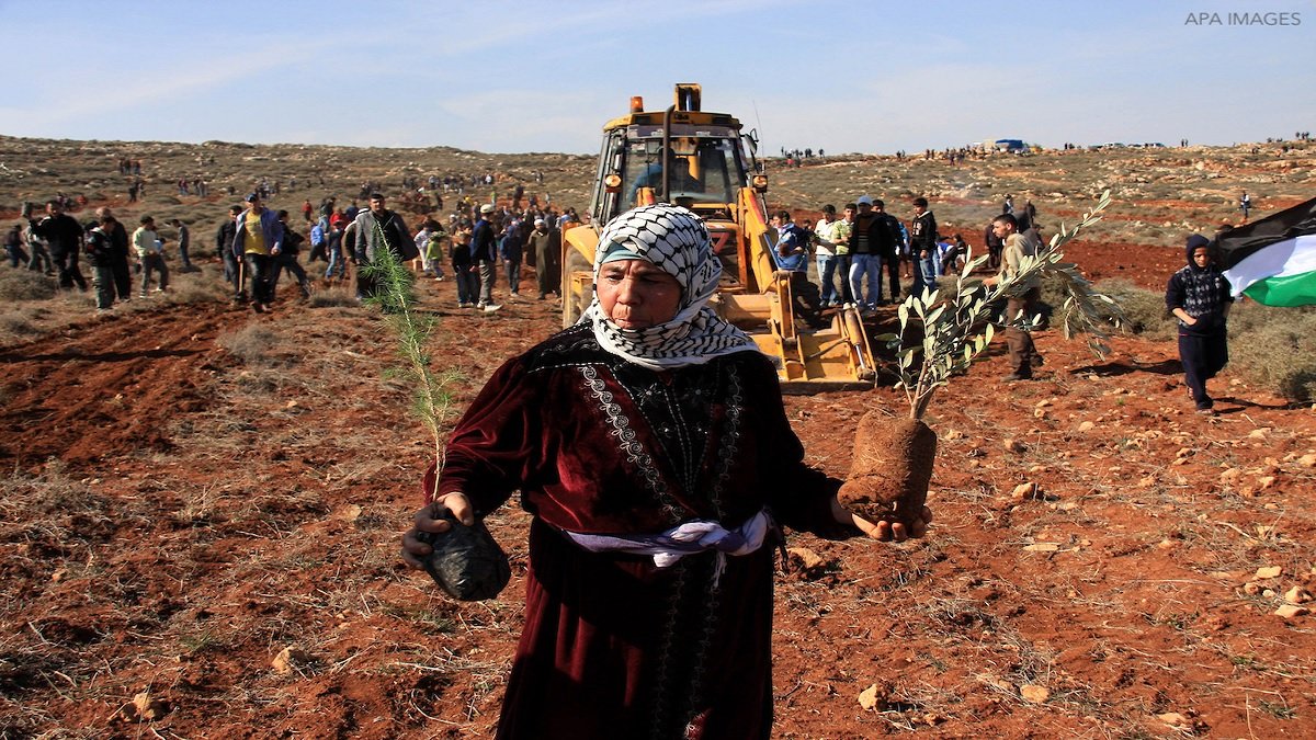 Palestinians are Native Americans: Time to Correct the Language of ...